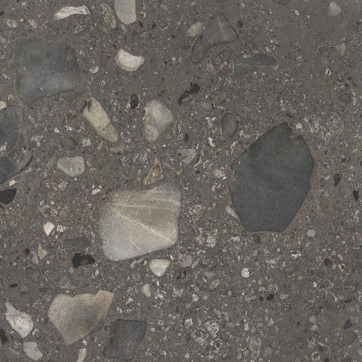Matera Coal Tile | Designer Floors of Houston